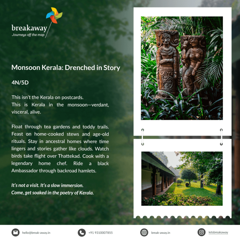 Experience Monsoon in Kerala: Culture, Nature & Peace